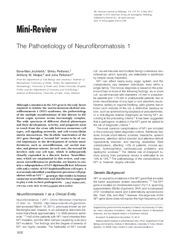 (PDF) The Pathoetiology of Neurofibromatosis 1