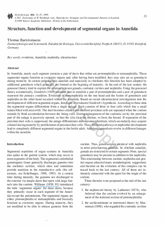 (PDF) Reproductive Strategies and Developmental Patterns in Annelids