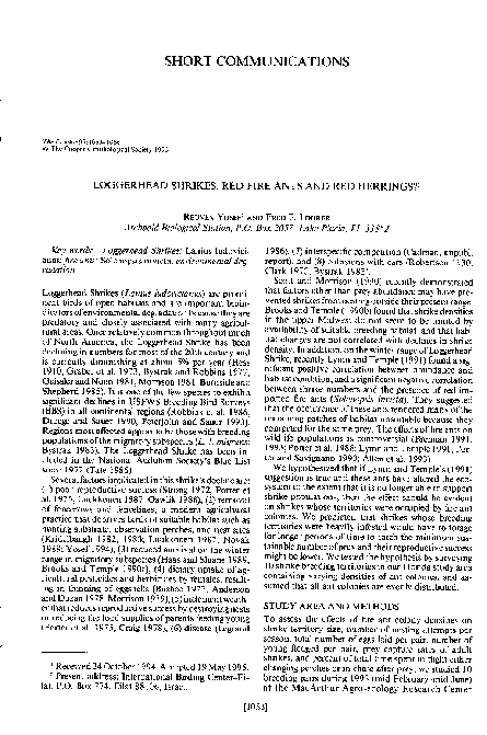 (PDF) Loggerhead Shrikes, Red Fire Ants and Red Herrings?