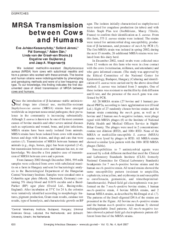 (PDF) MRSA Transmission between Cows and Humans
