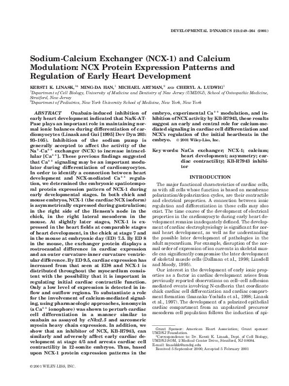 (PDF) Sodium-calcium exchanger (NCX-1) and calcium modulation: NCX ...