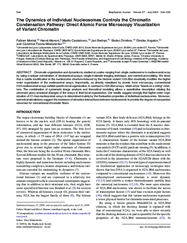 (PDF) The Dynamics of Individual Nucleosomes Controls the Chromatin ...