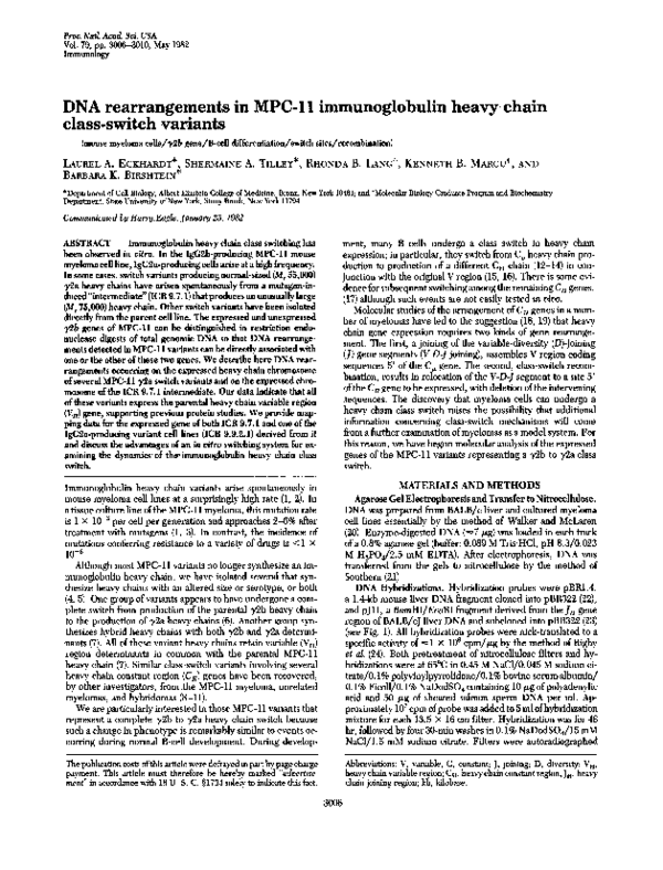 (PDF) DNA rearrangements in MPC-11 immunoglobulin heavy chain class ...