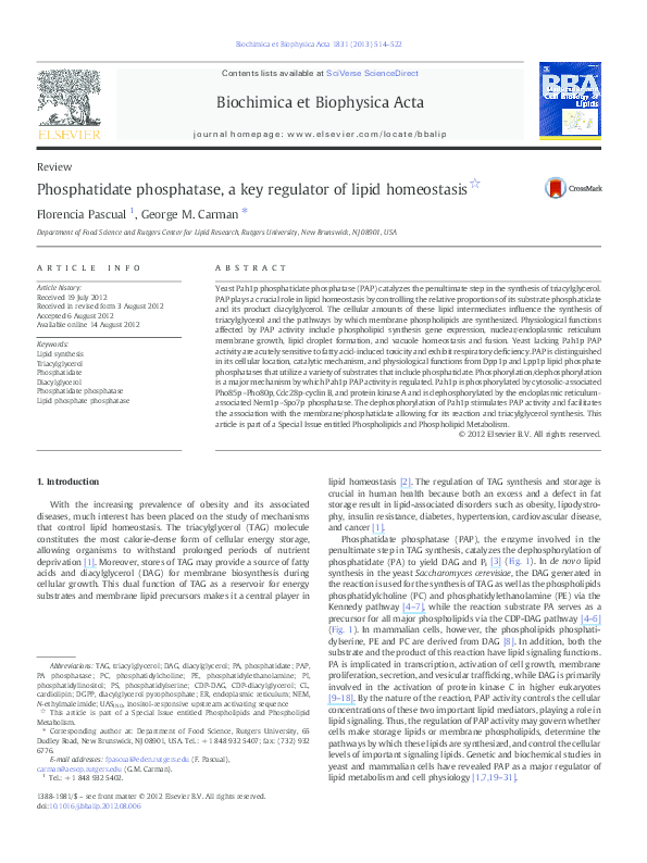 (PDF) Phosphatidate phosphatase, a key regulator of lipid homeostasis