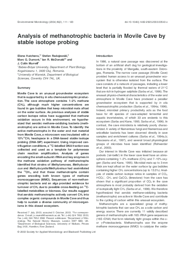 (PDF) Analysis of methanotrophic bacteria in Movile Cave by stable ...