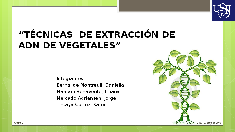 (PPT) TECNICA DE EXTRACCION DE ADN VEGETAL