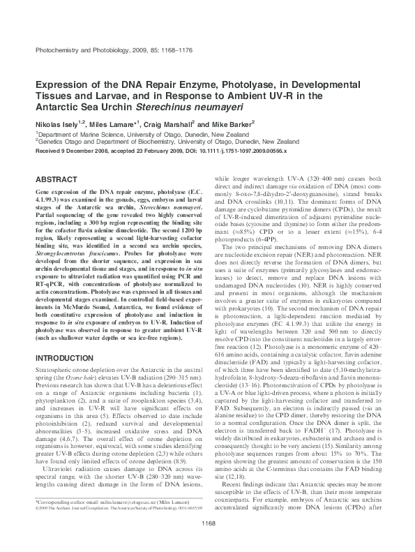 (PDF) Expression of the DNA Repair Enzyme, Photolyase, in Developmental ...