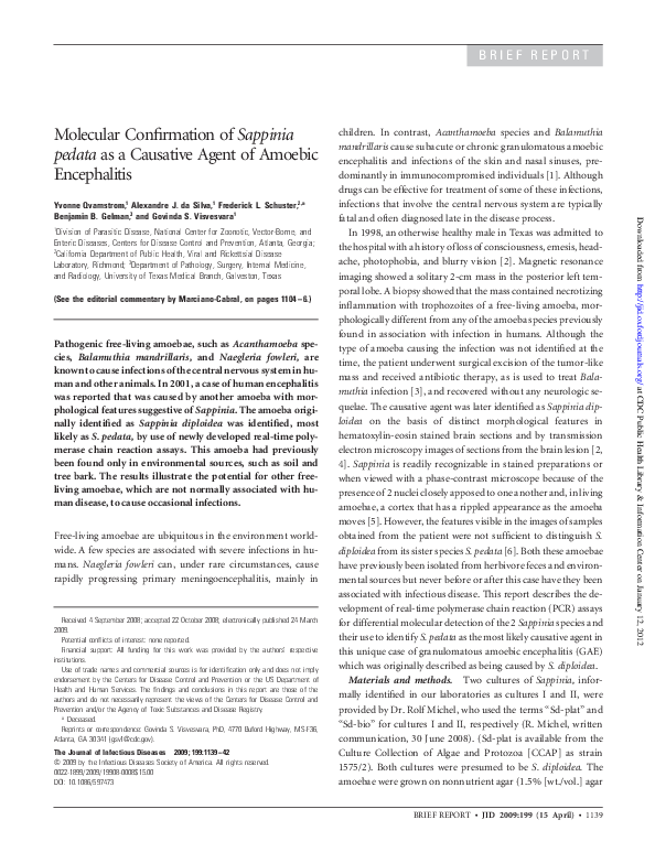 (PDF) Molecular Confirmation of Sappinia pedata as a Causative Agent of ...
