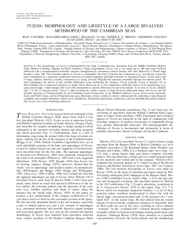 (PDF) TUZOIA: MORPHOLOGY AND LIFESTYLE OF A LARGE BIVALVED ARTHROPOD OF ...