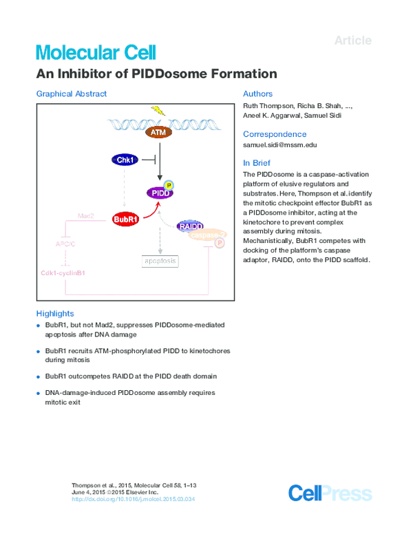 (PDF) An Inhibitor of PIDDosome Formation