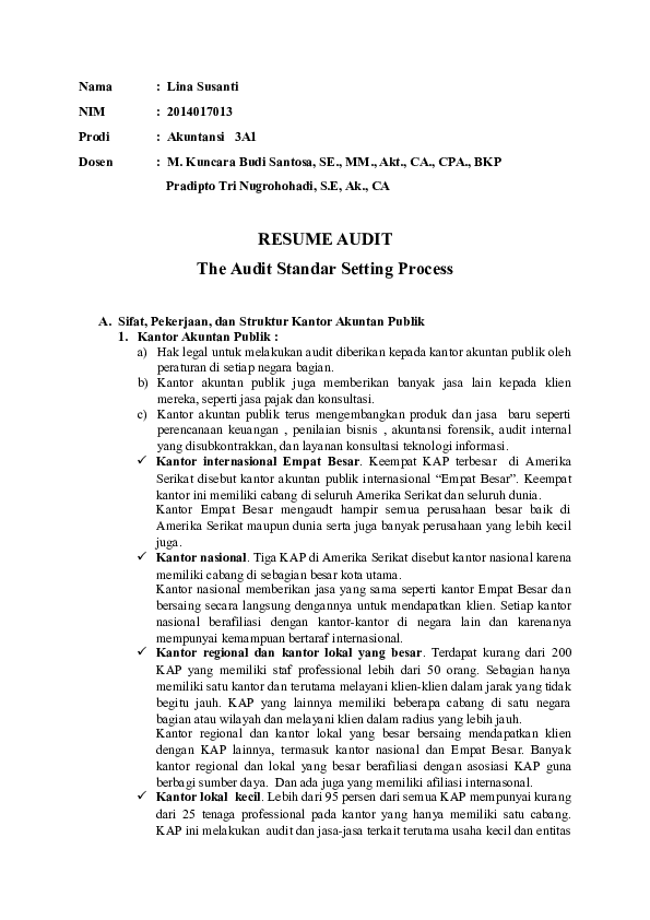 (DOC) The Audit Standar Setting Process