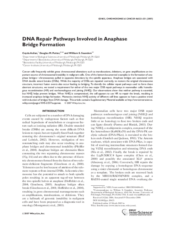(PDF) DNA repair pathways involved in anaphase bridge formation