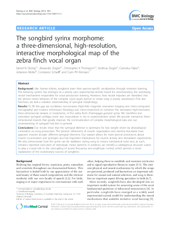 (PDF) The songbird syrinx morphome: a three-dimensional, high ...