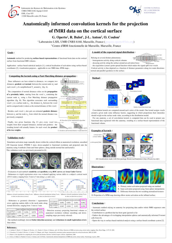 Pdf Anatomically Informed Convolution Kernels For The Projection Of Fmri Data On The Cortical