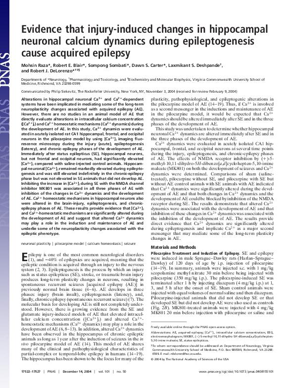 (PDF) Evidence that injury-induced changes in hippocampal neuronal ...