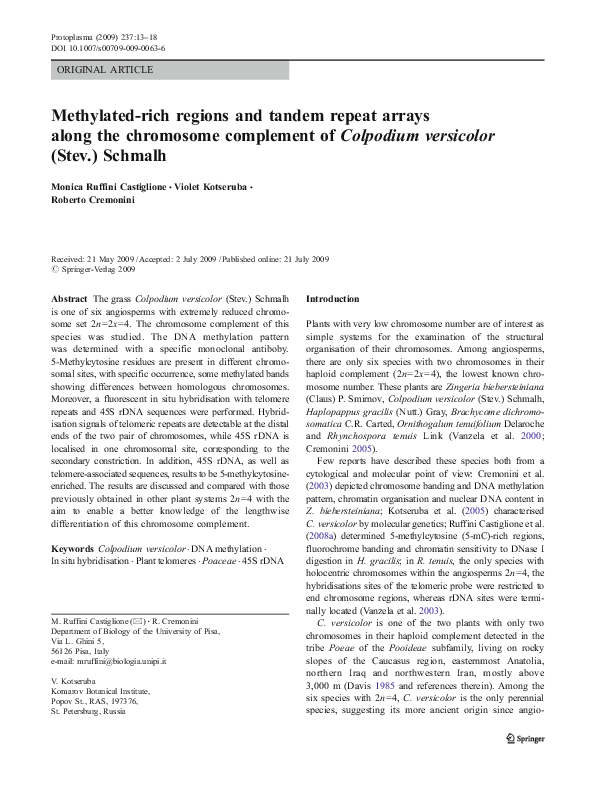 (PDF) Methylated-rich regions and tandem repeat arrays along the ...