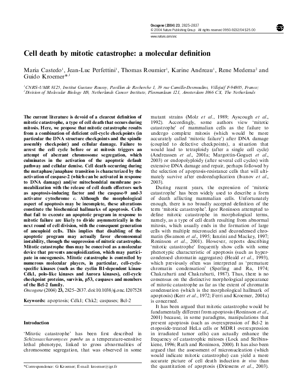 (PDF) Cell death by mitotic catastrophe a molecular definition