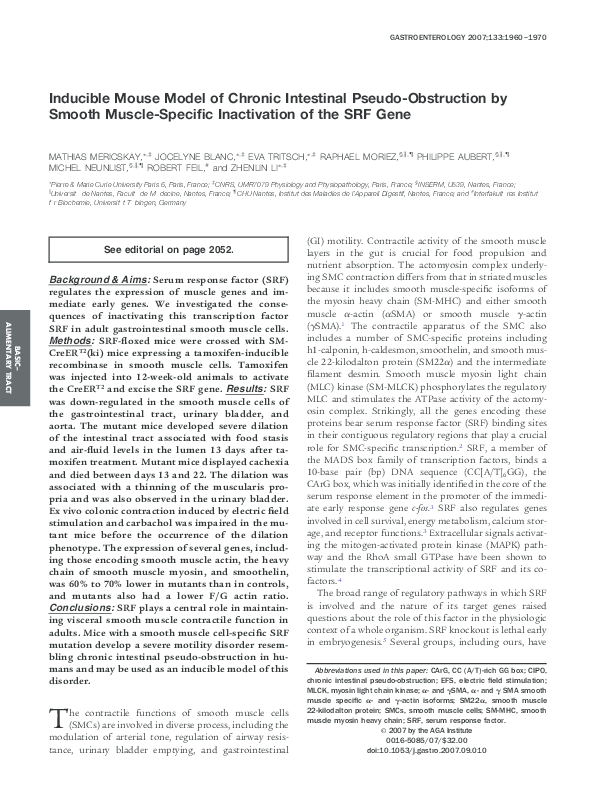 (PDF) Inducible Mouse Model of Chronic Intestinal Pseudo-Obstruction by ...