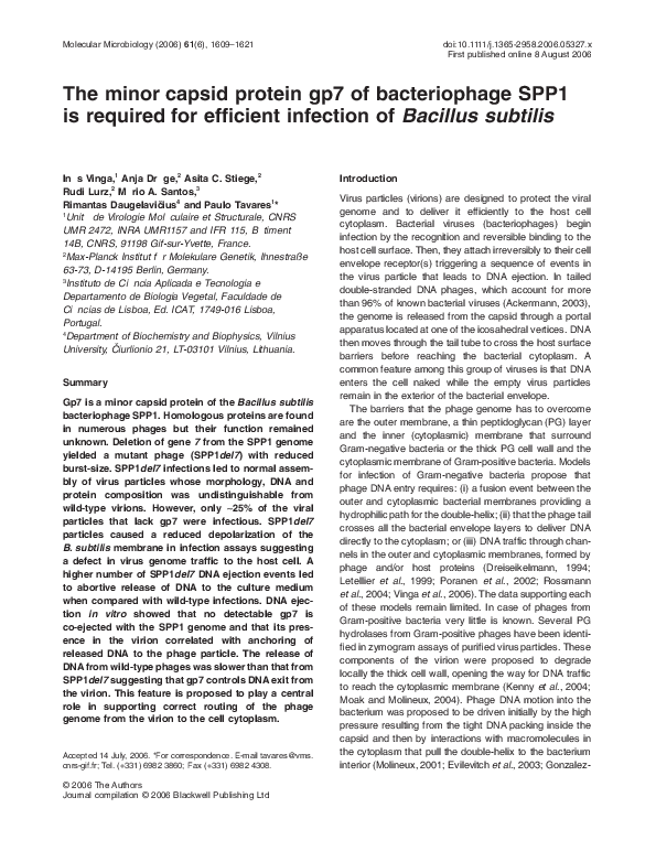 (PDF) The minor capsid protein gp7 of bacteriophage SPP1 is required ...