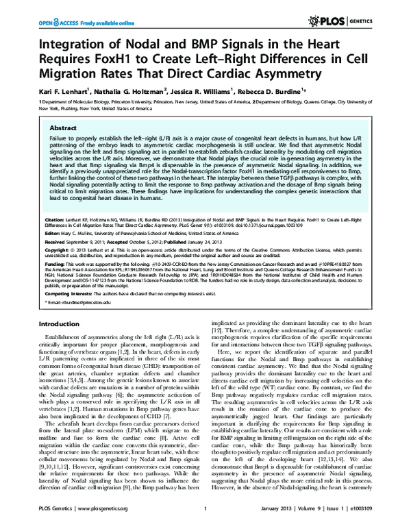 (PDF) Integration of Nodal and BMP Signals in the Heart Requires FoxH1 ...