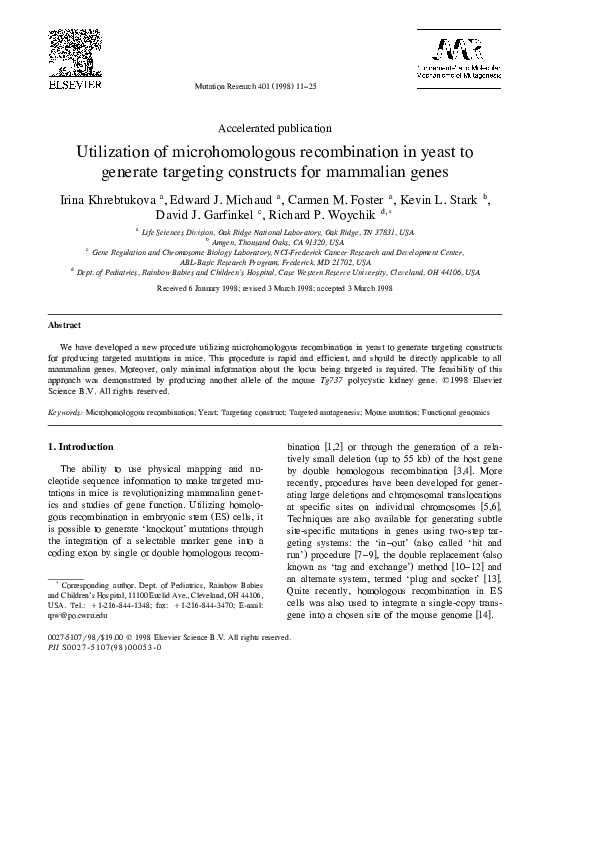 Pdf Utilization Of Microhomologous Recombination In Yeast To Generate Targeting Constructs For