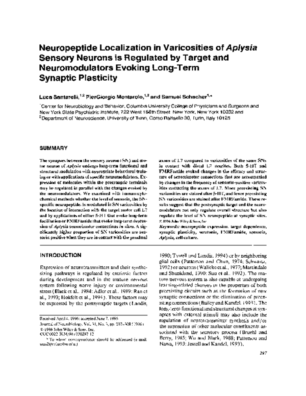 (PDF) Neuropeptide localization in varicosities ofAplysia sensory neurons is regulated by target ...