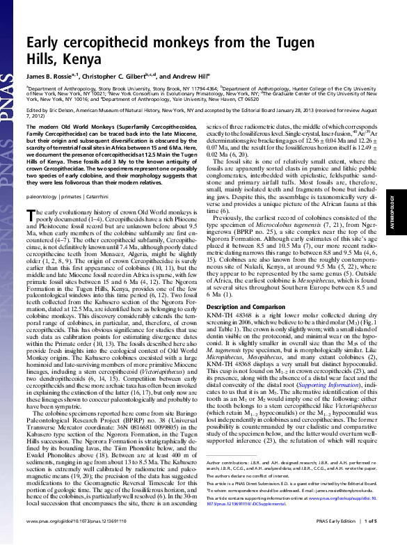 (PDF) Early cercopithecid monkeys from the Tugen Hills, Kenya