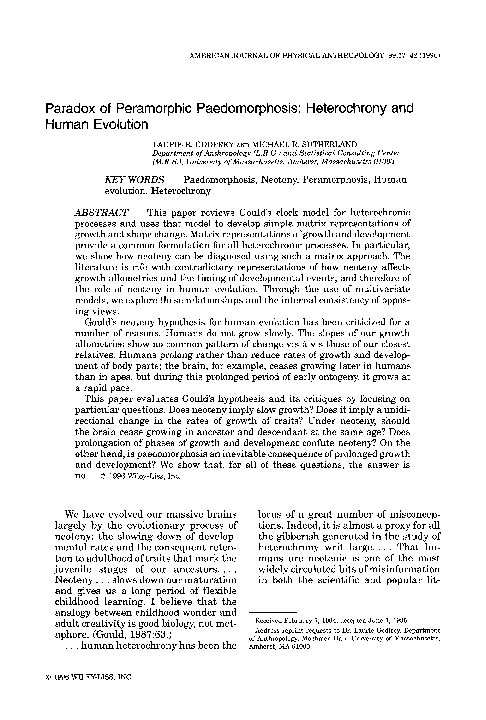(PDF) Paradox of peramorphic paedomorphosis: Heterochrony and human ...