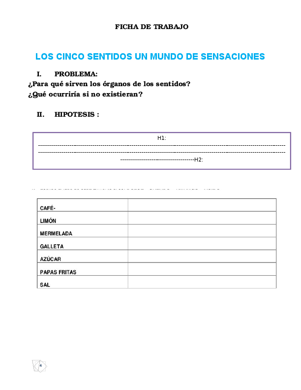 (DOC) Ficha de trabajo organos sensoriales