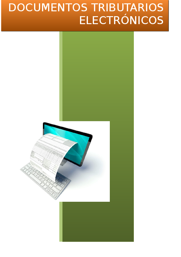 (DOC) DOCUMENTOS TRIBUTARIOS ELECTRONICOS