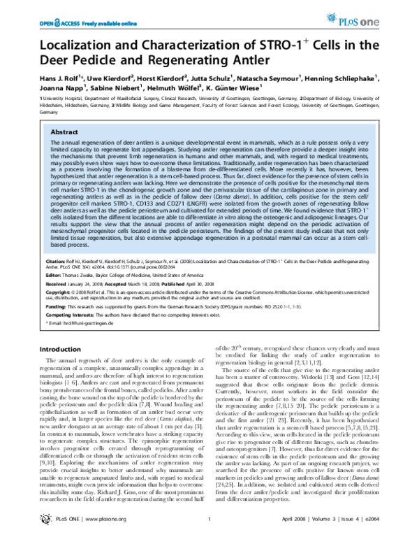 (PDF) Localization and Characterization of STRO-1+ Cells in the Deer ...