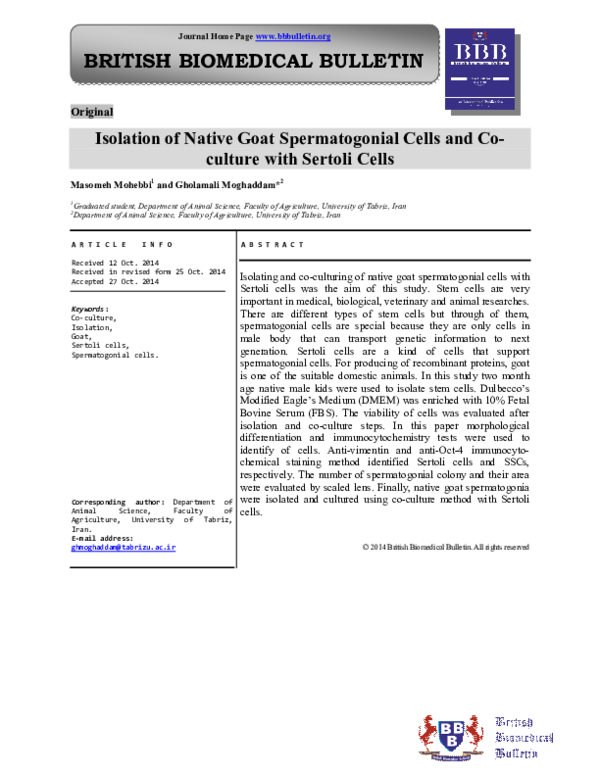 (PDF) Isolation of Native Goat Spermatogonial Cells and Co-culture with ...