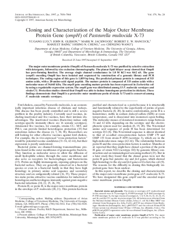 (PDF) Cloning and characterization of the major outer membrane protein ...