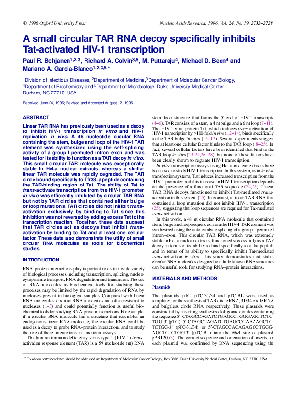 (PDF) A small circular TAR RNA decoy specifically inhibits Tat ...