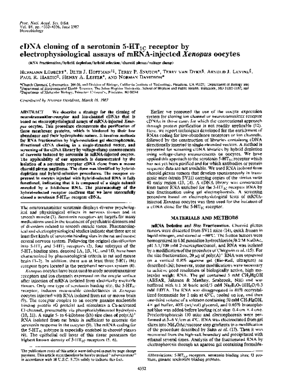 (PDF) cDNA cloning of a serotonin 5-HT1C receptor by ...