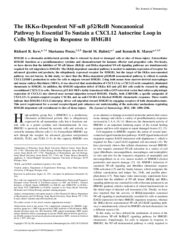 (PDF) The IKKa-Dependent NF-kB p52/RelB Noncanonical Pathway Is ...