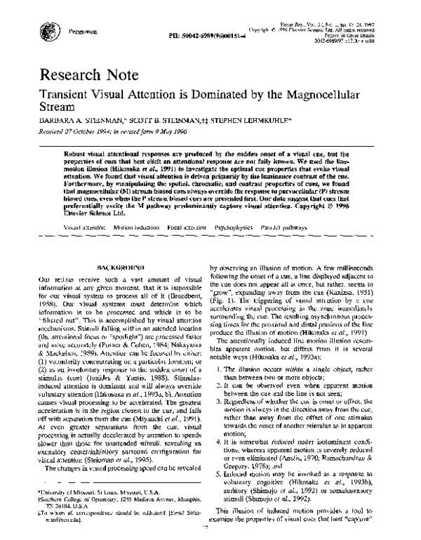 (PDF) Magnocellular Stream Dominates Visual Attention