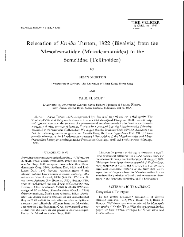 (PDF) Relocation of Ervilia Turton, (Bivalvia) from the Mesodesmatidae ...