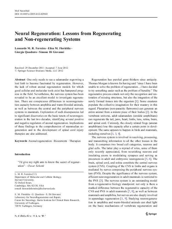 (PDF) Neural Regeneration: Lessons from Regenerating and Non ...