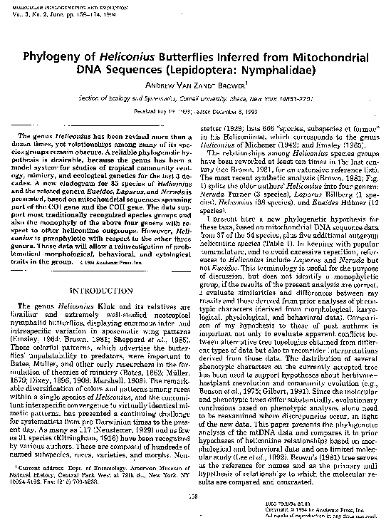 (PDF) Phylogeny of Heliconius butterflies inferred from mitochondrial ...
