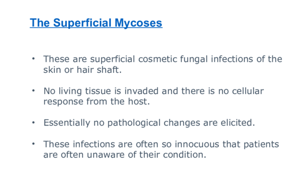 (PPT) The Superficial Mycoses