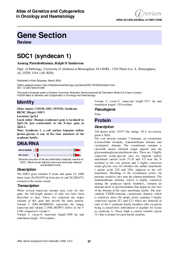 (PDF) SDC1 (syndecan 1)