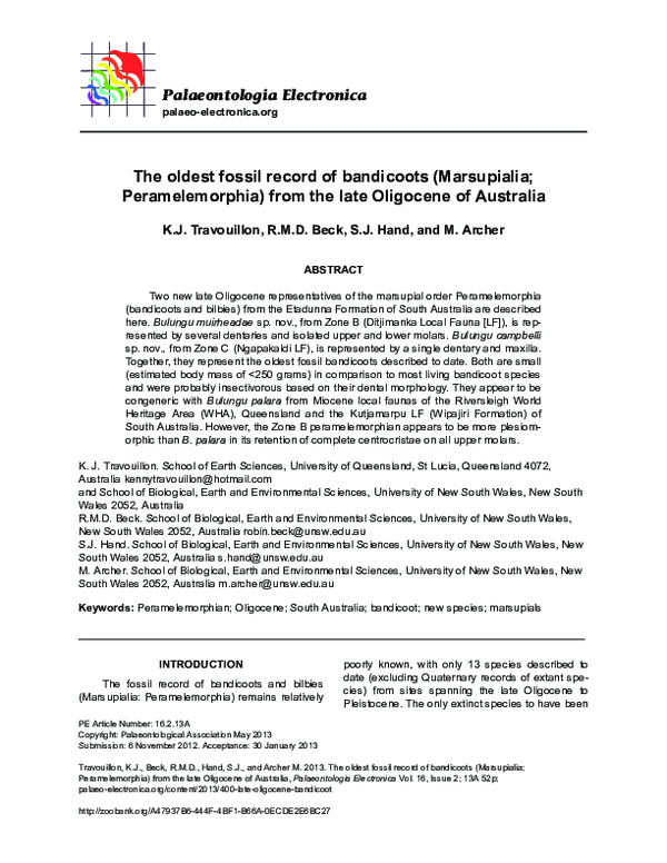 (PDF) Nimiokoala Gen. Nov. (Marsupialia, Phascolarctidae) from ...