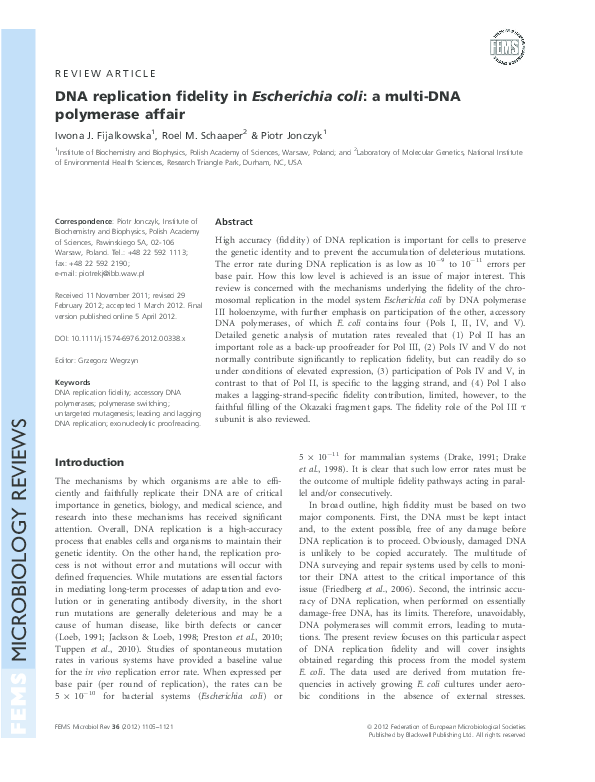 (PDF) DNA replication fidelity in Escherichia coli : a multi-DNA ...