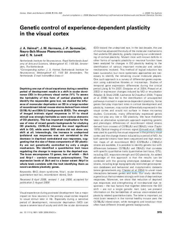 (PDF) Genetic control of experience-dependent plasticity in the visual cortex | J-p Sommeijer ...