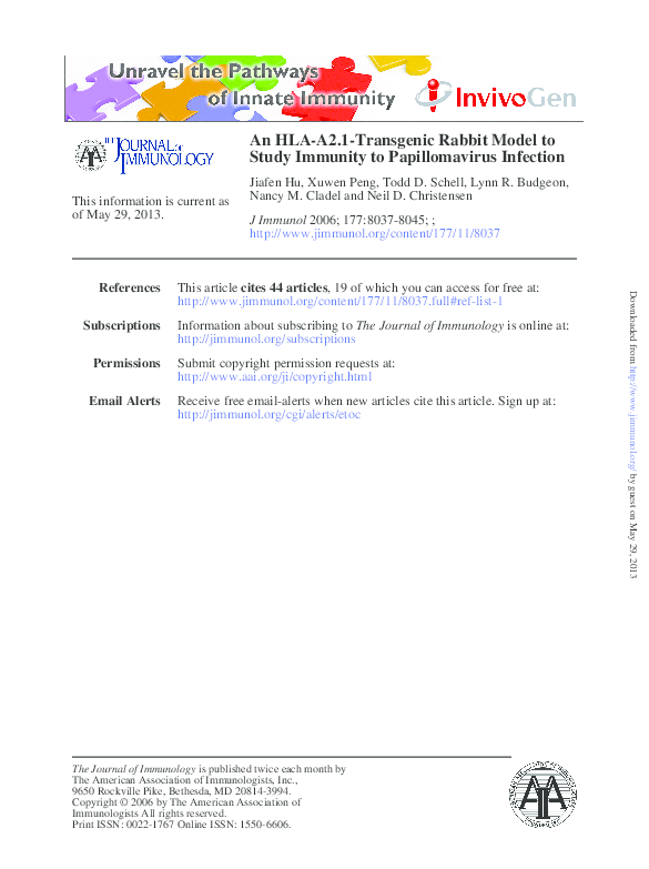 (PDF) Papillomavirus Infection Model to Study Immunity to An HLA-A2 ...
