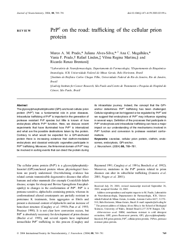 (PDF) PrPc on the road: trafficking of the cellular prion protein