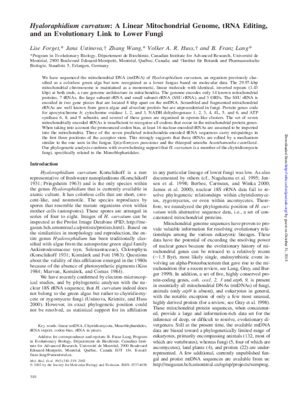 (PDF) Hyaloraphidium curvatum: A Linear Mitochondrial Genome, tRNA ...