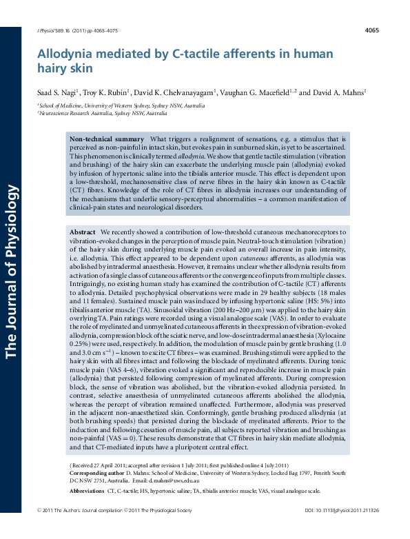 (PDF) Allodynia mediated by C-tactile afferents in human hairy skin ...