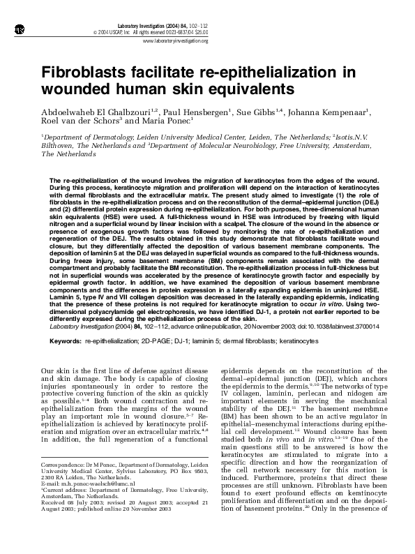 (PDF) Fibroblasts facilitate re-epithelialization in wounded human skin ...